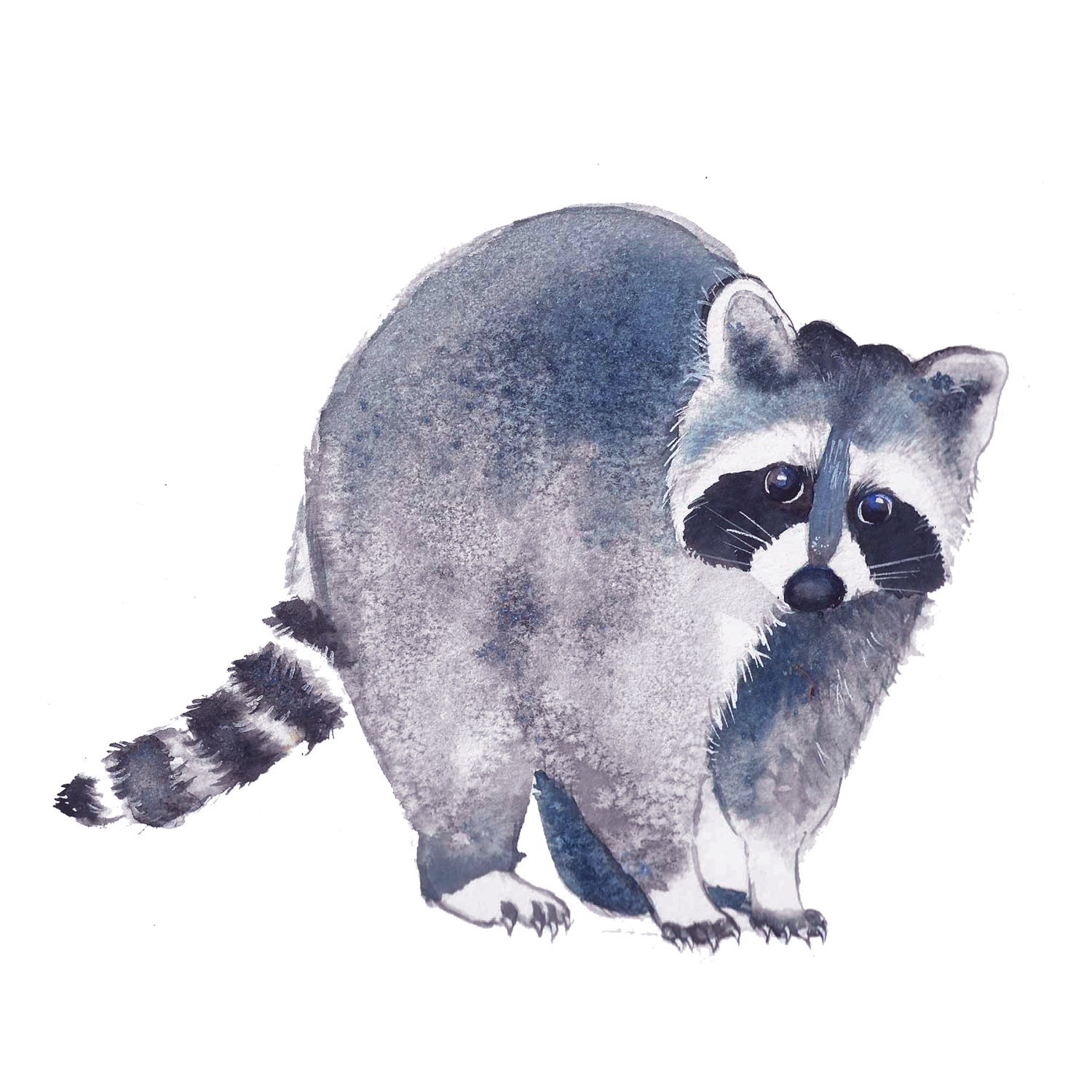 Raccoon Watercolor Printable Digital Art Nursery Decor Woodland Animals ...