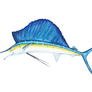 Sailfish Watercolor Digital Printable Art Sea Marine Life - Etsy