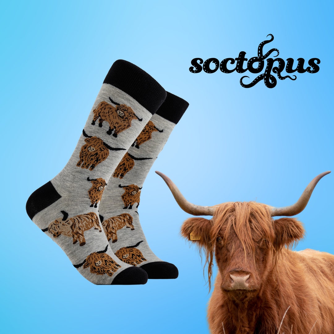 Highland Cow Socks Novelty Socks Socks Gifts Highland Cow Scottish Cow ...