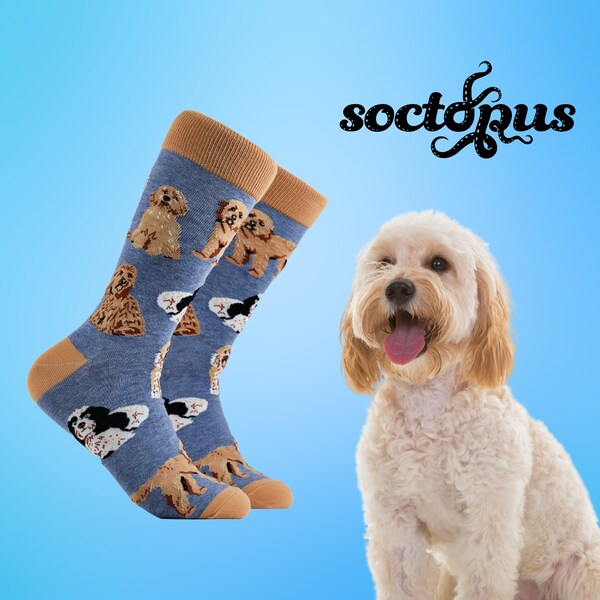 Cockapoo Socks - Etsy UK