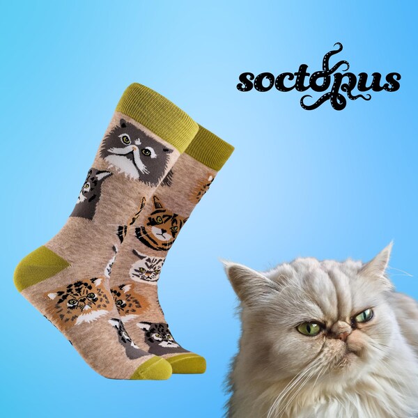 Grumpy Cat Meme - Etsy