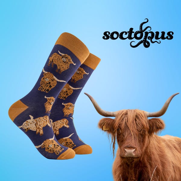 Scottish Gifts - 60+ Gift Ideas for 2024