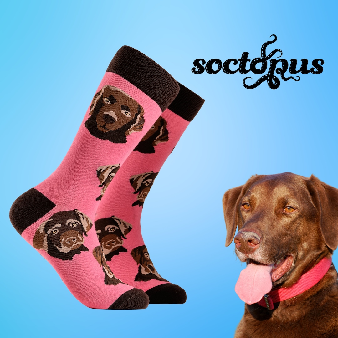 Choc Lab Socks Chocolate Labrador Dog Lover Gifts Sock Gifts Novelty ...