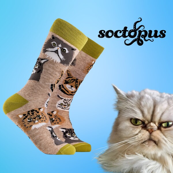 Grumpy Cat Meme - Etsy