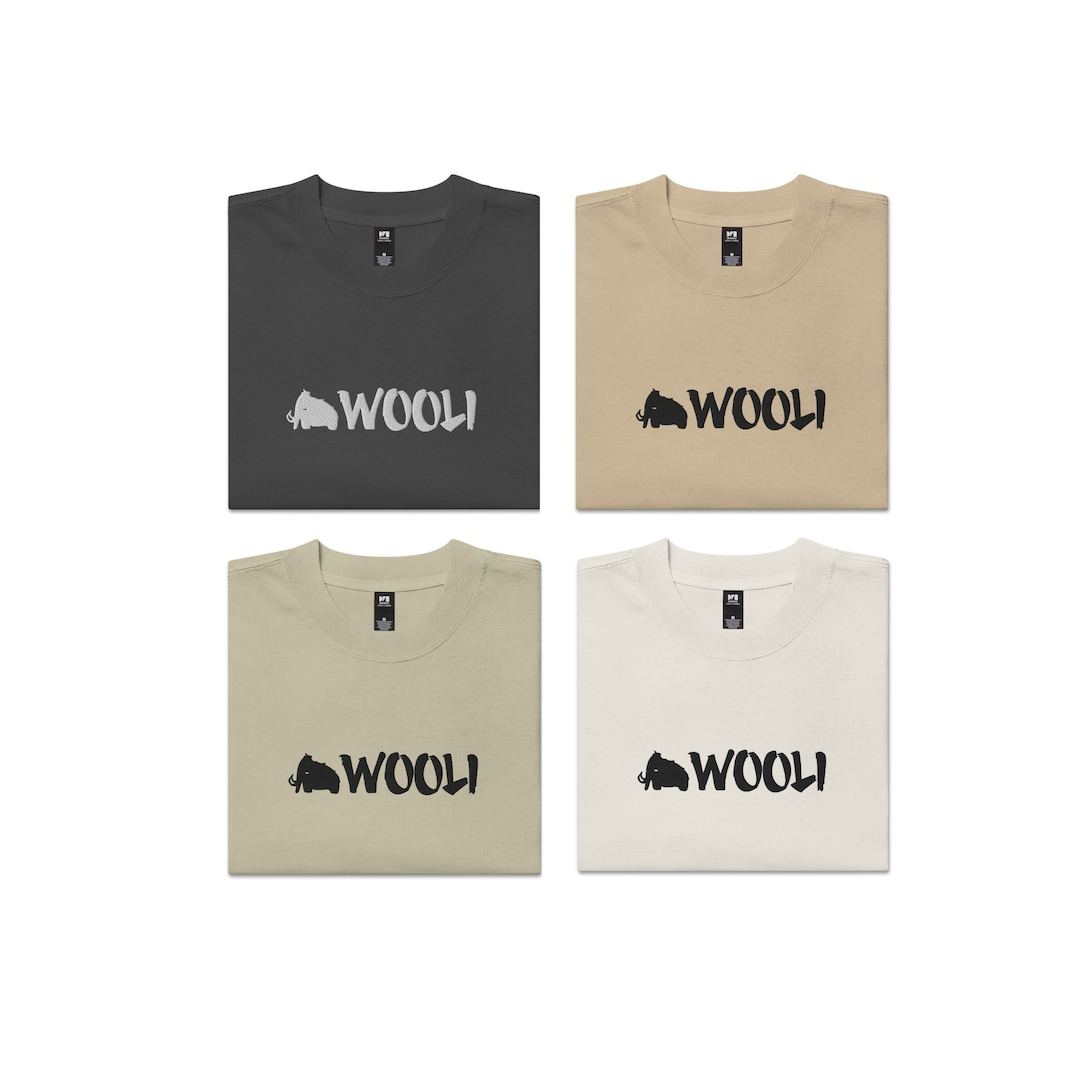 Wooli Center Logo Unisex Embroidered Oversized Faded T-shirt - Etsy