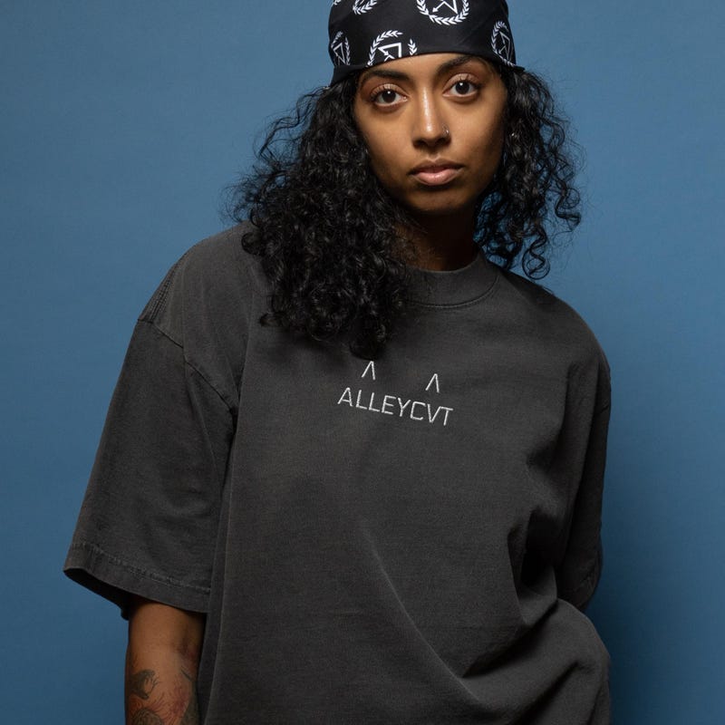 Alleycvt Merch - Etsy