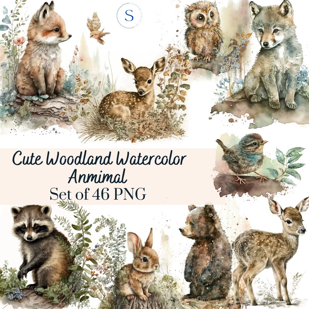 Cute Woodland Animals Watercolor Transparent Pngs Watercolor Woodlands ...