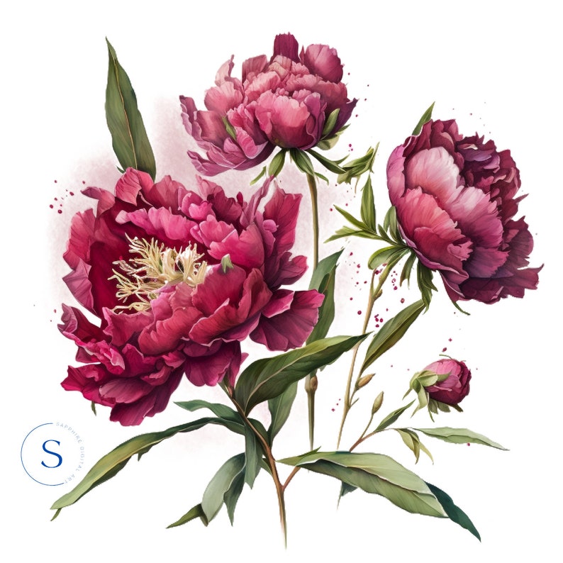 Ruby Watercolor Flowers July Birthstone Digital Clipart Transparent ...