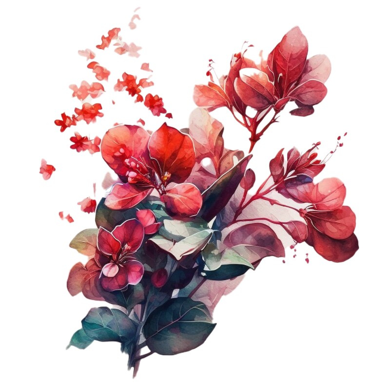 Ruby Watercolor Flowers July Birthstone Digital Clipart Transparent ...