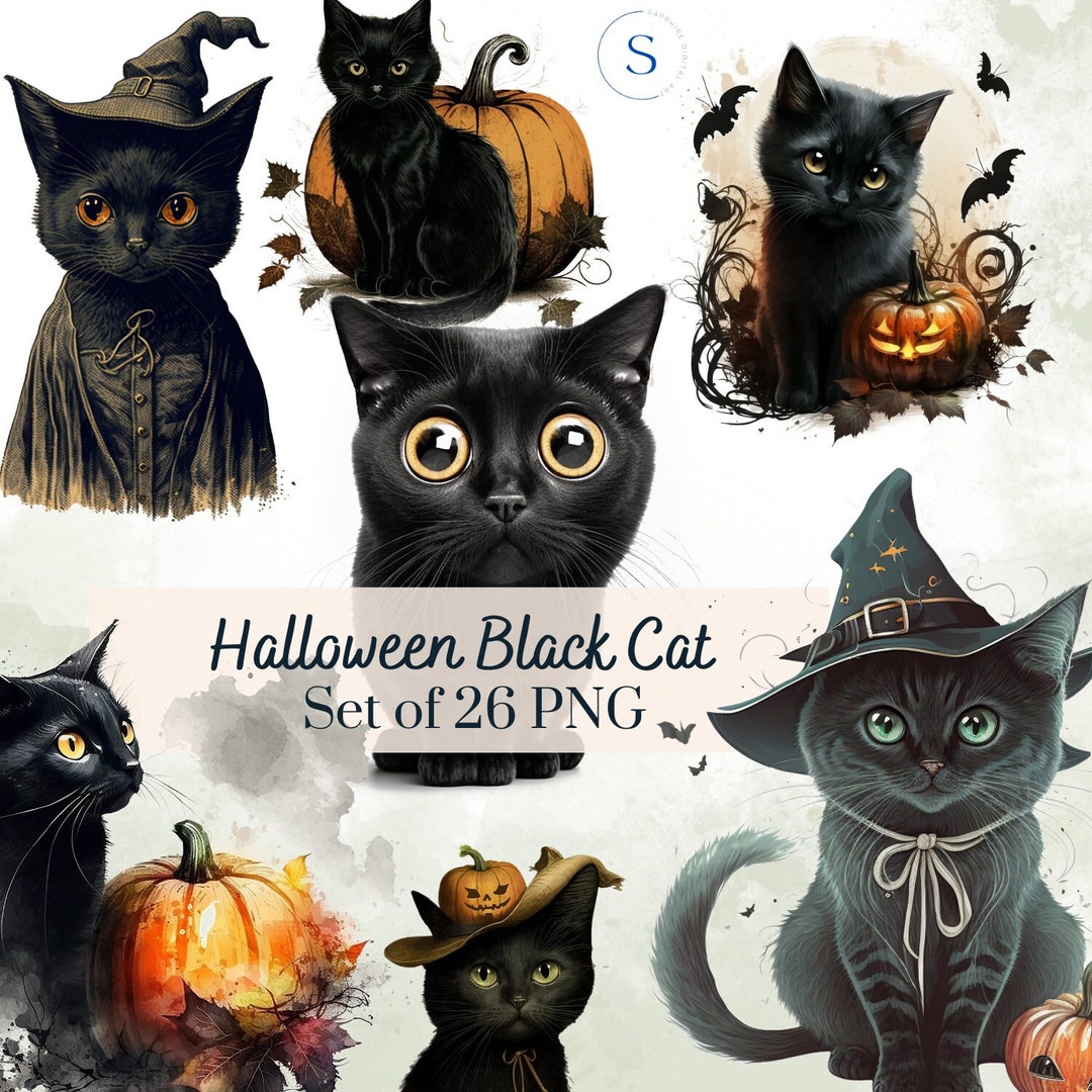 Black Cat Clipart Party Invitation Junk Journal Fun Halloween Clipart ...