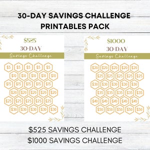 Printable Savings Challenge Planner Bundle, BONUS Blank Savings ...