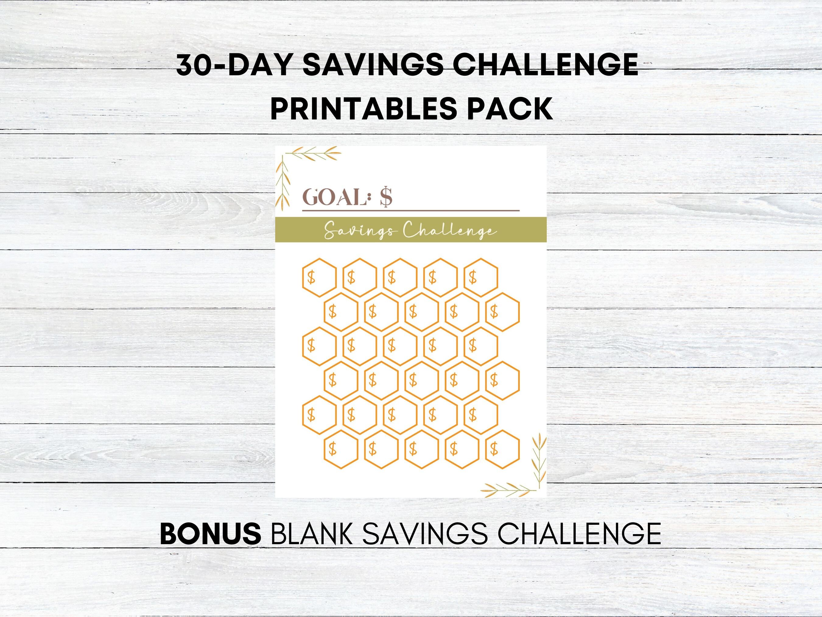 Printable Savings Challenge Planner Bundle, BONUS Blank Savings ...