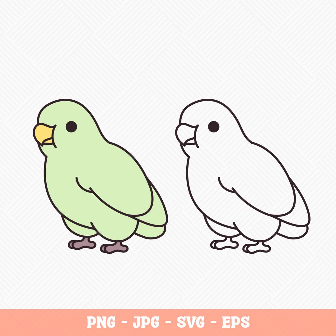 Parakeet SVG Cutting Files Layered and Outlined for Cricut & PNG for ...