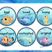 Affirmation Station, Ocean Animal Theme, Classroom Bulletin Board Decor ...