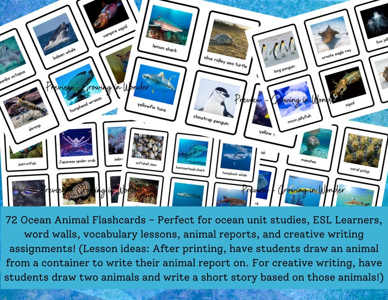 72 Ocean Animal Flashcards, Printable Montessori Flashcards, ESL ...