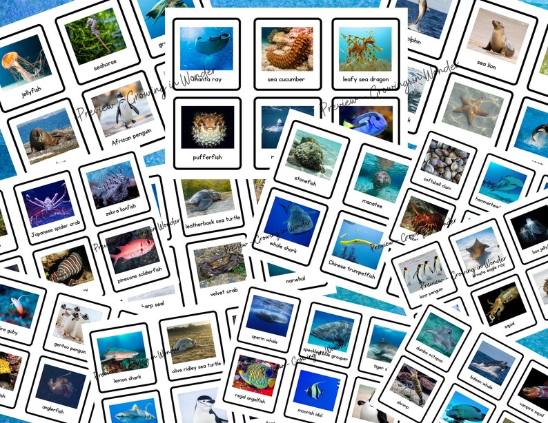 72 Ocean Animal Flashcards, Printable Montessori Flashcards, ESL ...