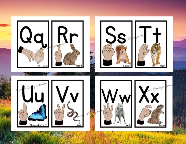 Land Animals Alphabet Sign Language Cards, ASL Alphabet Posters - Etsy
