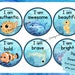 Affirmation Station, Ocean Animal Theme, Classroom Bulletin Board Decor ...