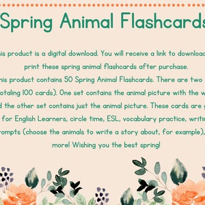 Spring Animal Flashcards - Etsy