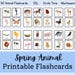 Spring Animal Flashcards - Etsy
