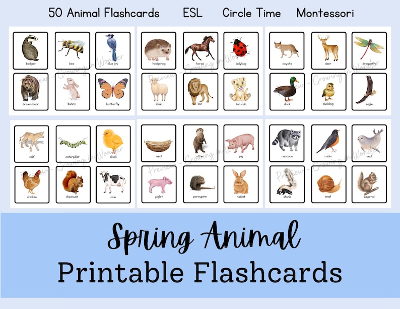 Spring Animal Flashcards - Etsy