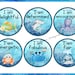 Affirmation Station, Ocean Animal Theme, Classroom Bulletin Board Decor ...