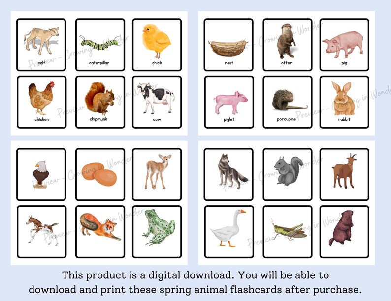 Spring Animal Flashcards - Etsy