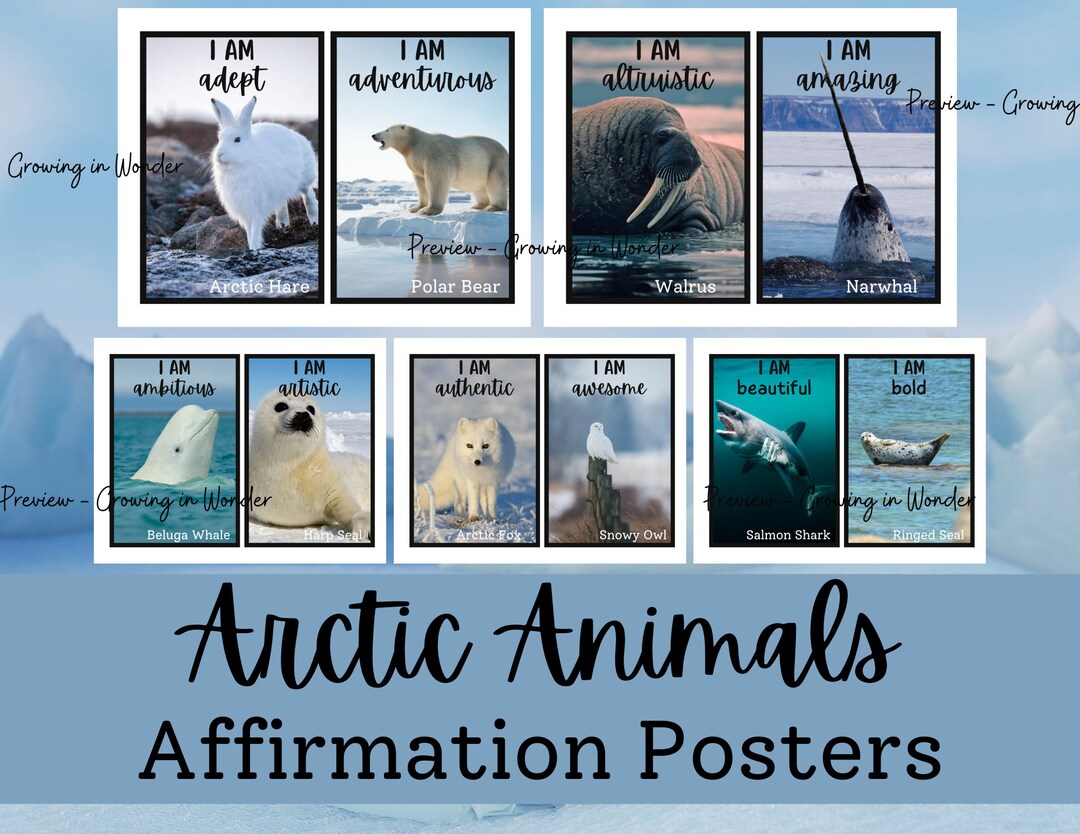 Positive Affirmation Printable Classroom Posters: Winter, Arctic ...