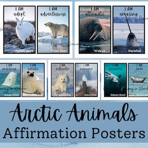 Positive Affirmation Printable Classroom Posters: Winter, Arctic ...