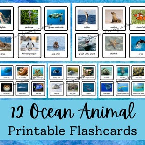 72 Ocean Animal Flashcards, Printable Montessori Flashcards, ESL ...