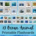 Under the Sea Growth Mindset Printable Posters, Ocean Theme Classroom ...