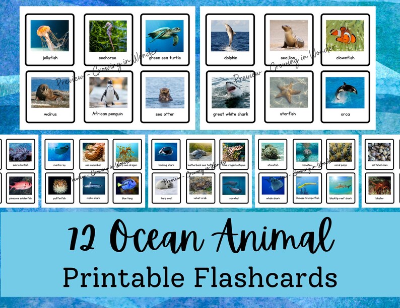 72 Ocean Animal Flashcards, Printable Montessori Flashcards, ESL ...