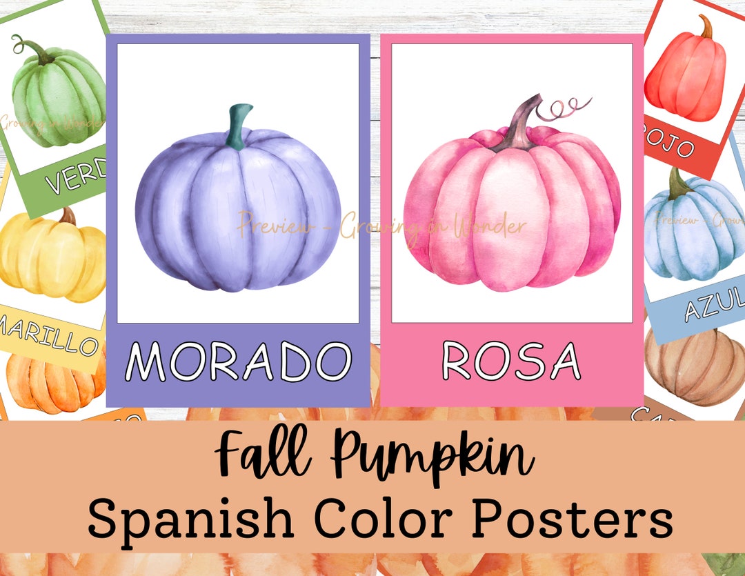 Fall Pumpkin Spanish Color Posters, Flashcards - Etsy