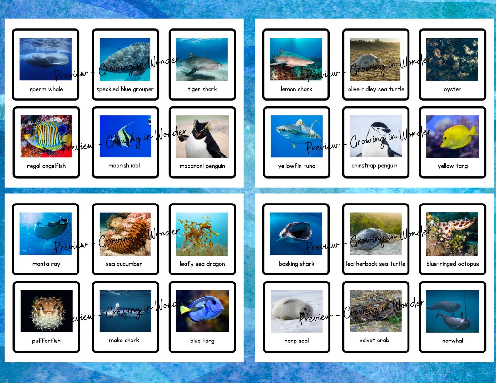 72 Ocean Animal Flashcards, Printable Montessori Flashcards, ESL ...