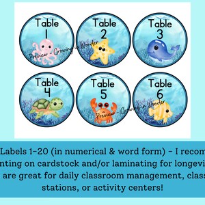 Under the Sea, Ocean Theme Numbers, Groups, and Table Labels 1-20 - Etsy