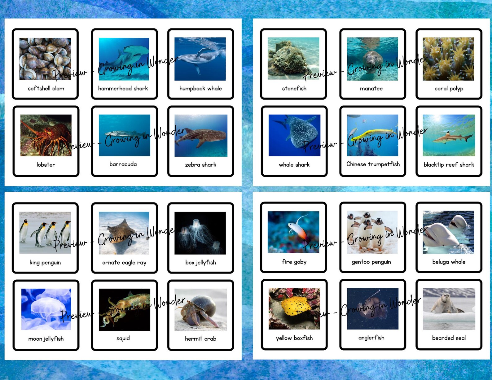 72 Ocean Animal Flashcards, Printable Montessori Flashcards, ESL ...
