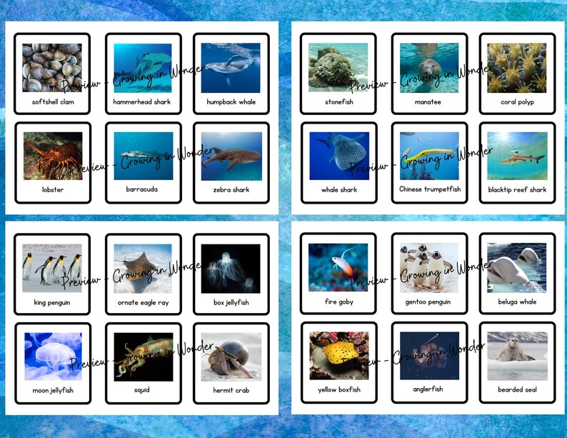 72 Ocean Animal Flashcards, Printable Montessori Flashcards, ESL ...