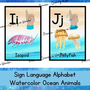 Sign Language Alphabet Watercolor Ocean Animal Flashcards, Posters - Etsy