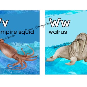 Ocean Animal, Under the Sea Alphabet Posters, Printable Classroom Decor ...