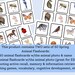 Spring Animal Flashcards - Etsy