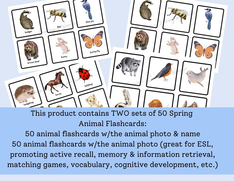 Spring Animal Flashcards - Etsy