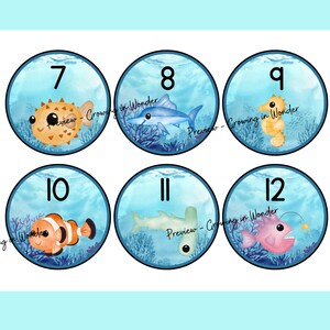 Under the Sea, Ocean Theme Numbers, Groups, and Table Labels 1-20 - Etsy