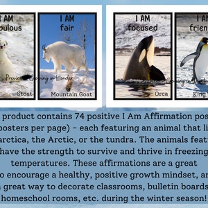 Positive Affirmation Printable Classroom Posters: Winter, Arctic ...