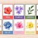 Under the Sea Growth Mindset Printable Posters, Ocean Theme Classroom ...