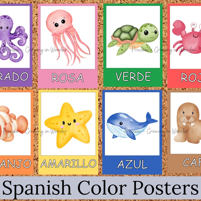 Spanish Classroom - Etsy