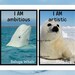 Positive Affirmation Printable Classroom Posters: Winter, Arctic ...
