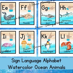 Sign Language Alphabet Watercolor Ocean Animal Flashcards, Posters - Etsy