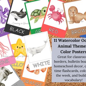 Under the Sea Themed Color Posters, Classroom Decor, Ocean Animal Color ...