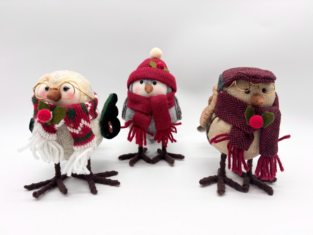 Target Wondershop Winter Birds - Etsy