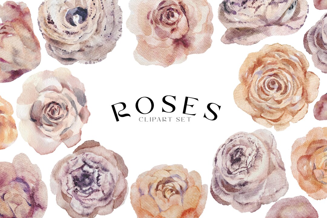 Watercolor Roses Flower Clip Art Clipart Set Pink Rose - Etsy